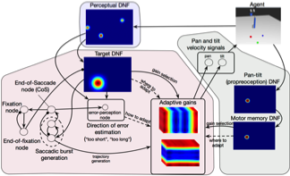 Home [sandamirskaya.eu]